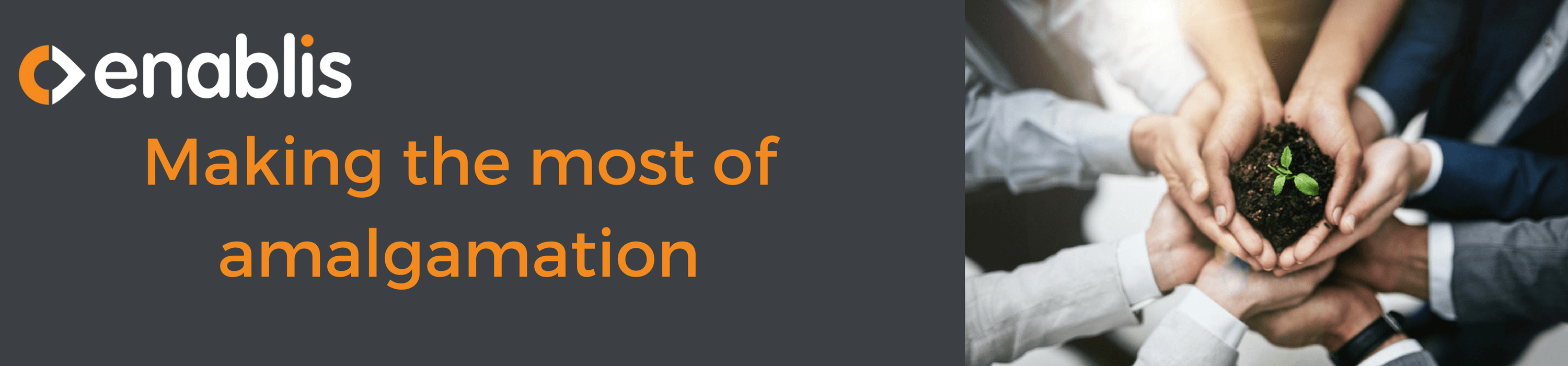 Amalgamation in the NFP sector - Enablis